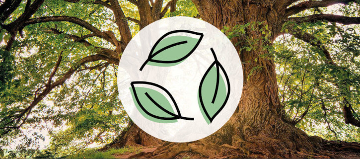 Bechtle UK Sustainability