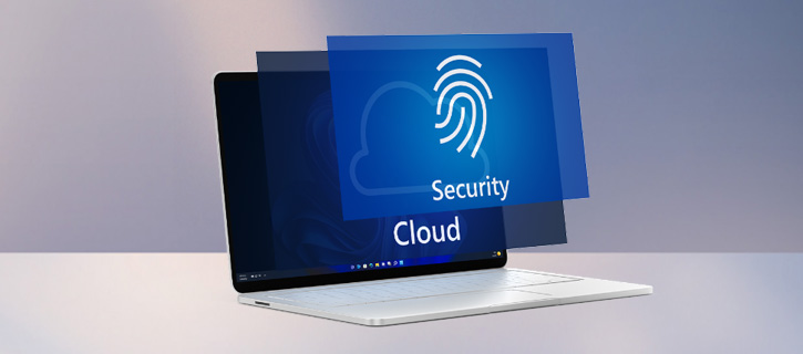 IT security with Microsoft Windows 11 Pro and Microsoft 365